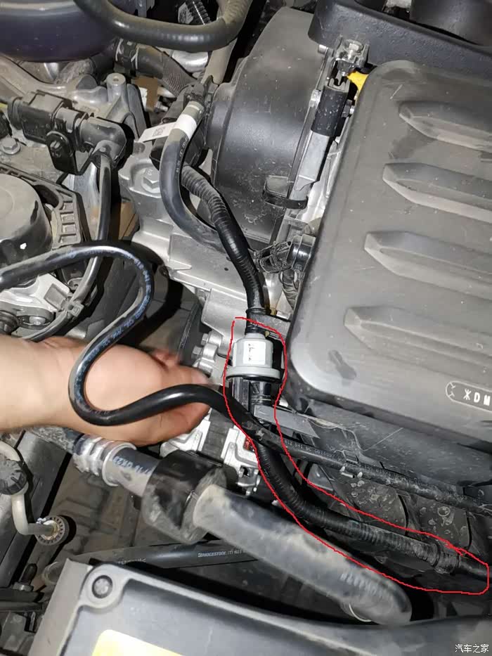 【图】2020款宝来油箱排气系统识别到少量泄漏-目前已解决_宝来论坛_汽车之家论坛