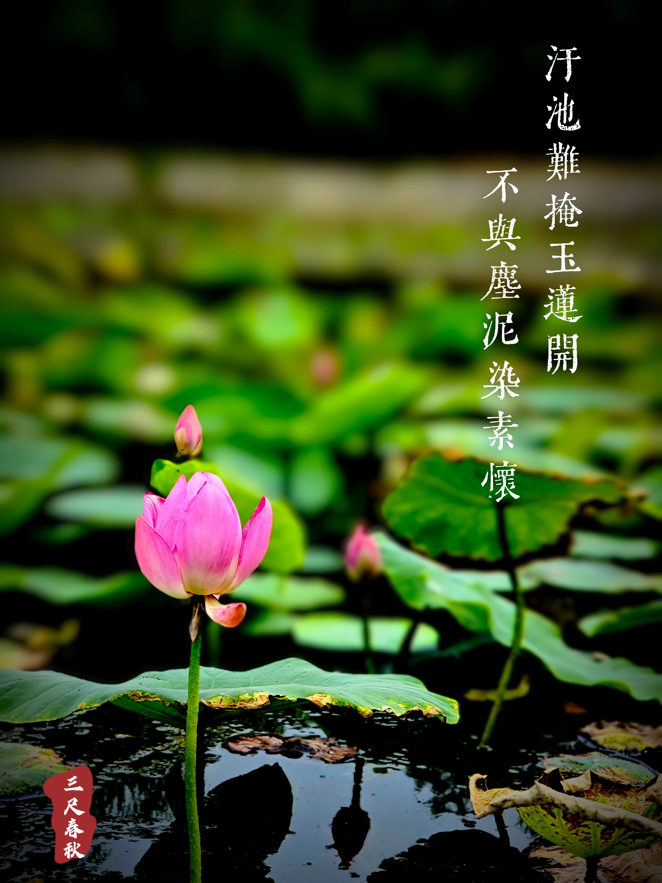 【图】你买一奔腾B70不就是为了装吗！！！！_奔腾B70论坛_汽车之家论坛