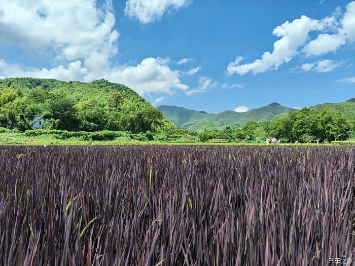 【图】8月20日实测理想L7纯电、燃油真实续航、单耗。_理想L7论坛_汽车之家论坛