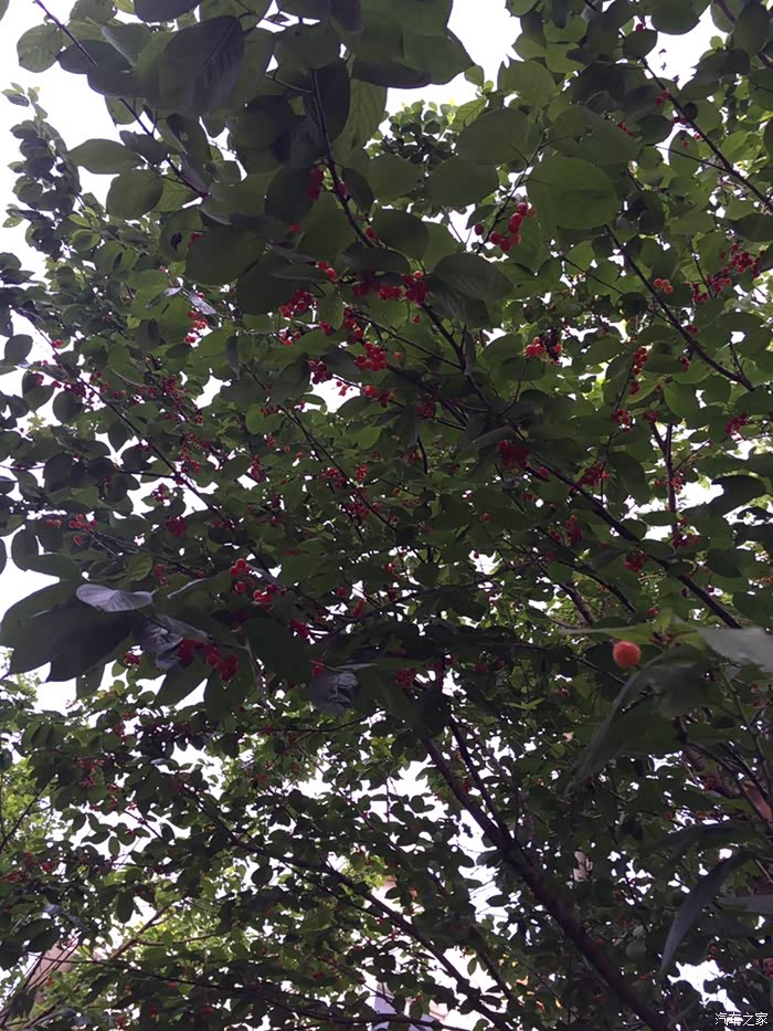 【图】请求各位帮帮忙、CHR后排如何？_丰田C-HR论坛_汽车之家论坛