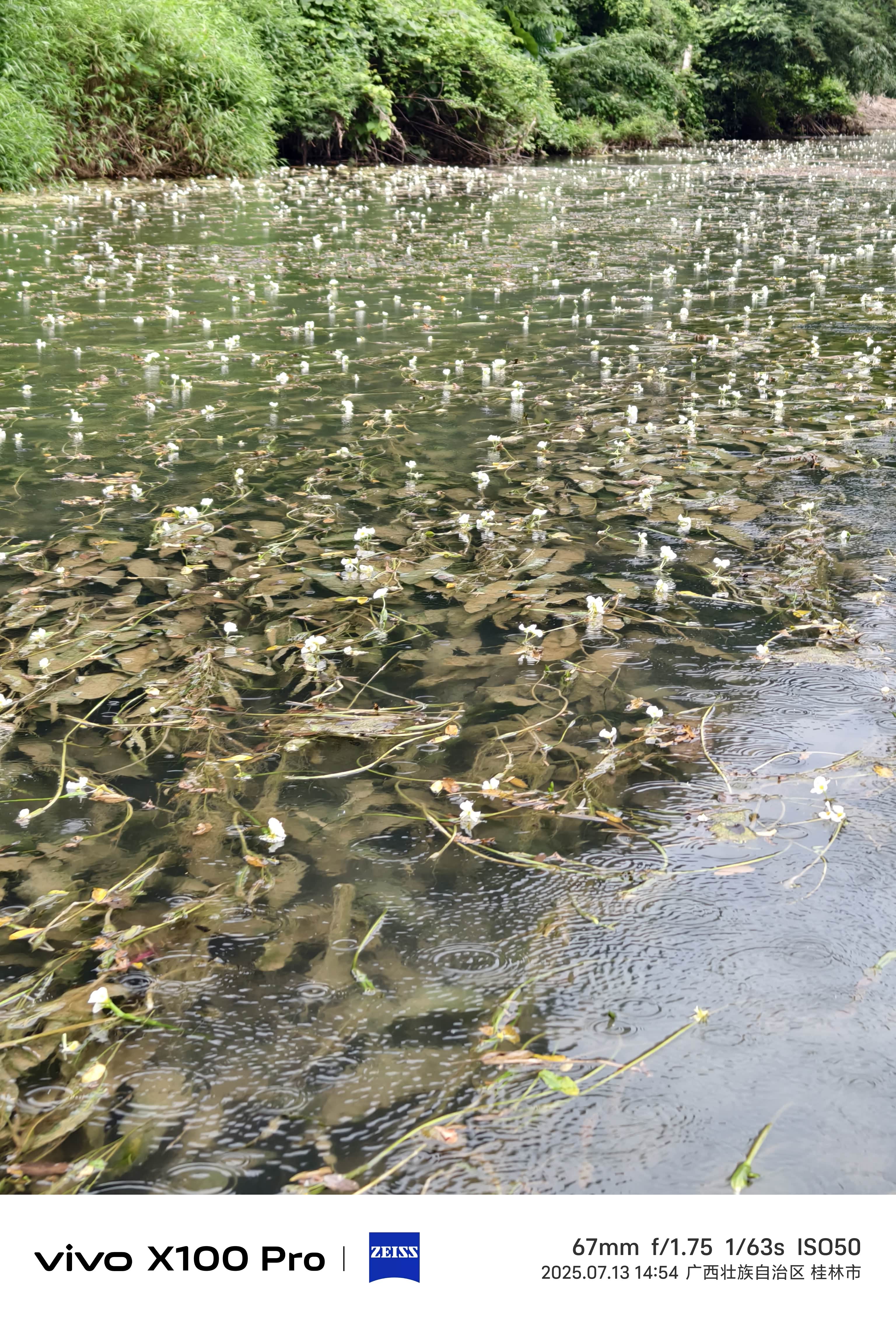 【图】深蓝s05 max版 夏季经济测评_深蓝S05论坛_汽车之家论坛