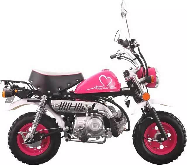 【图】金城金童 JC70_摩托车论坛_汽车之家论坛