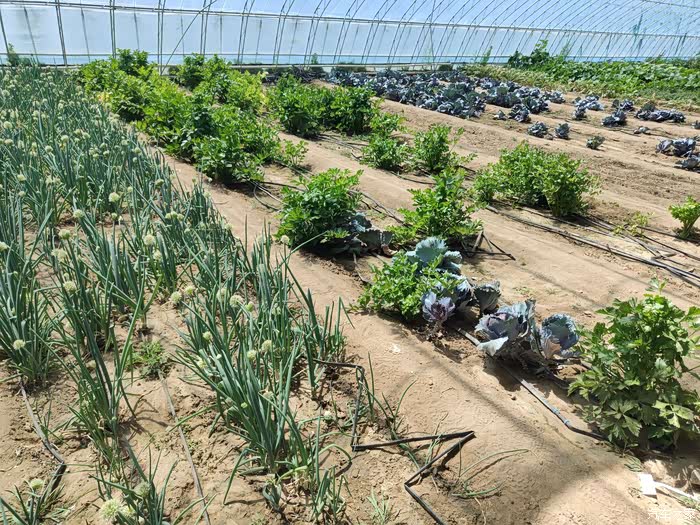 【图】二代哈弗枭龙MAX使用高速NOA需要LCC学习500KM!!_哈弗枭龙MAX论坛_汽车之家论坛