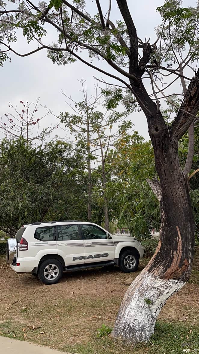 【图】霸道LC120经典影像作品。完美艺术品。请鉴赏。_普拉多论坛_汽车之家论坛