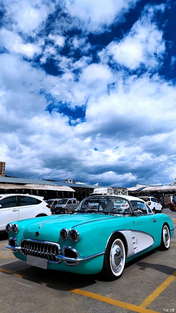 【图】到货了先上牌_SS DOLPHIN论坛_汽车之家论坛