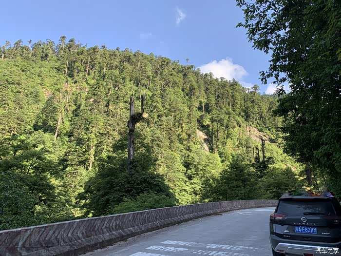 【图】【开车吧！庆子】新奇骏驰骋G219—新疆篇（禾木早晨）_自驾游论坛_汽车之家论坛