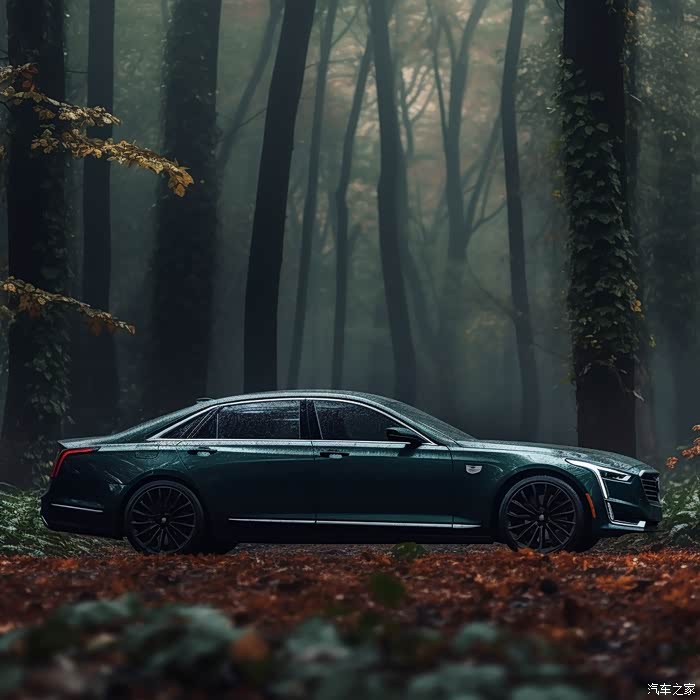 【图】绿野仙踪 CT6_凯迪拉克CT6论坛_汽车之家论坛