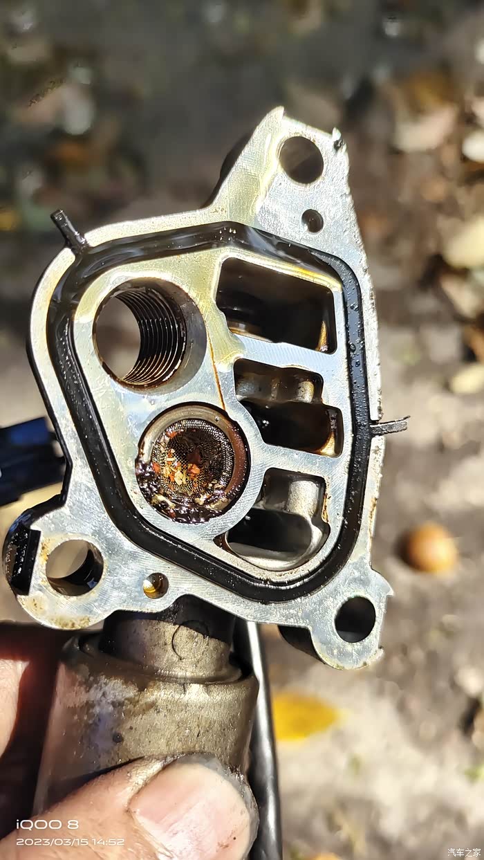 【图】天语作业：vvt阀，凸轮轴传感器漏油检修_天语 SX4论坛_汽车之家论坛