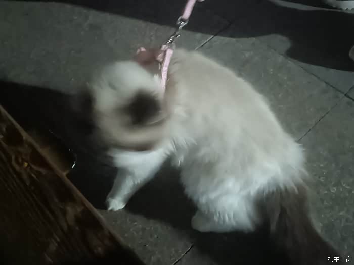 【图】有没有启源a07的老车主，已交定金，625旗舰，算上1500_长安启源A07论坛_汽车之家论坛