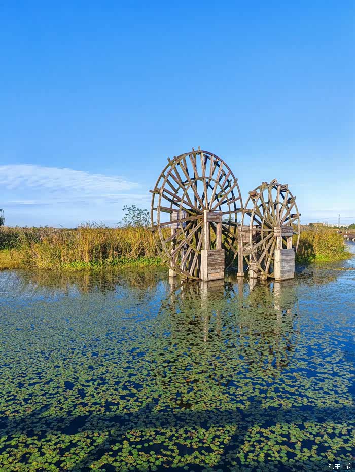 【图】开着上汽奥迪A7L，我邂逅了湿地公园_奥迪A7L论坛_汽车之家论坛