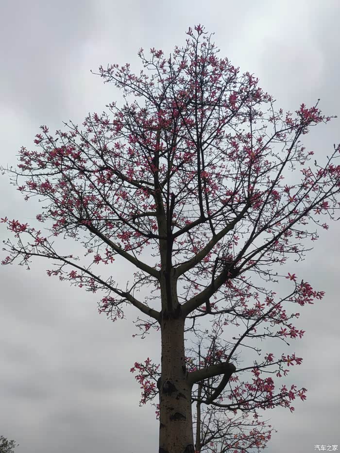 【图】启辰VX6，贤鲁岛一日游，惊喜不断_启辰VX6论坛_汽车之家论坛