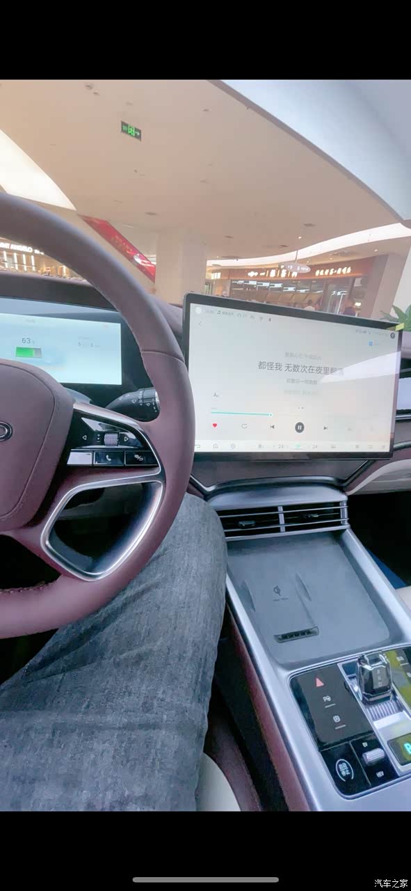 【图】海豹dmi该选1.5T还是1.5L？_海豹论坛_汽车之家论坛