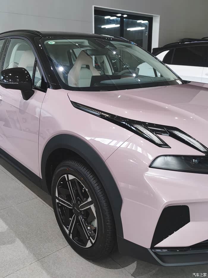 【图】#油电终极选择# 06Remix燃油版和06EM-P选谁？_领克06论坛_汽车之家论坛