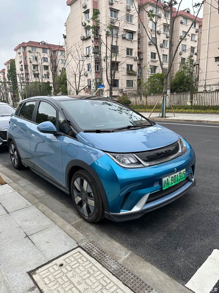 【图】海鸥能免费上上海绿牌吗？_海鸥论坛_汽车之家论坛