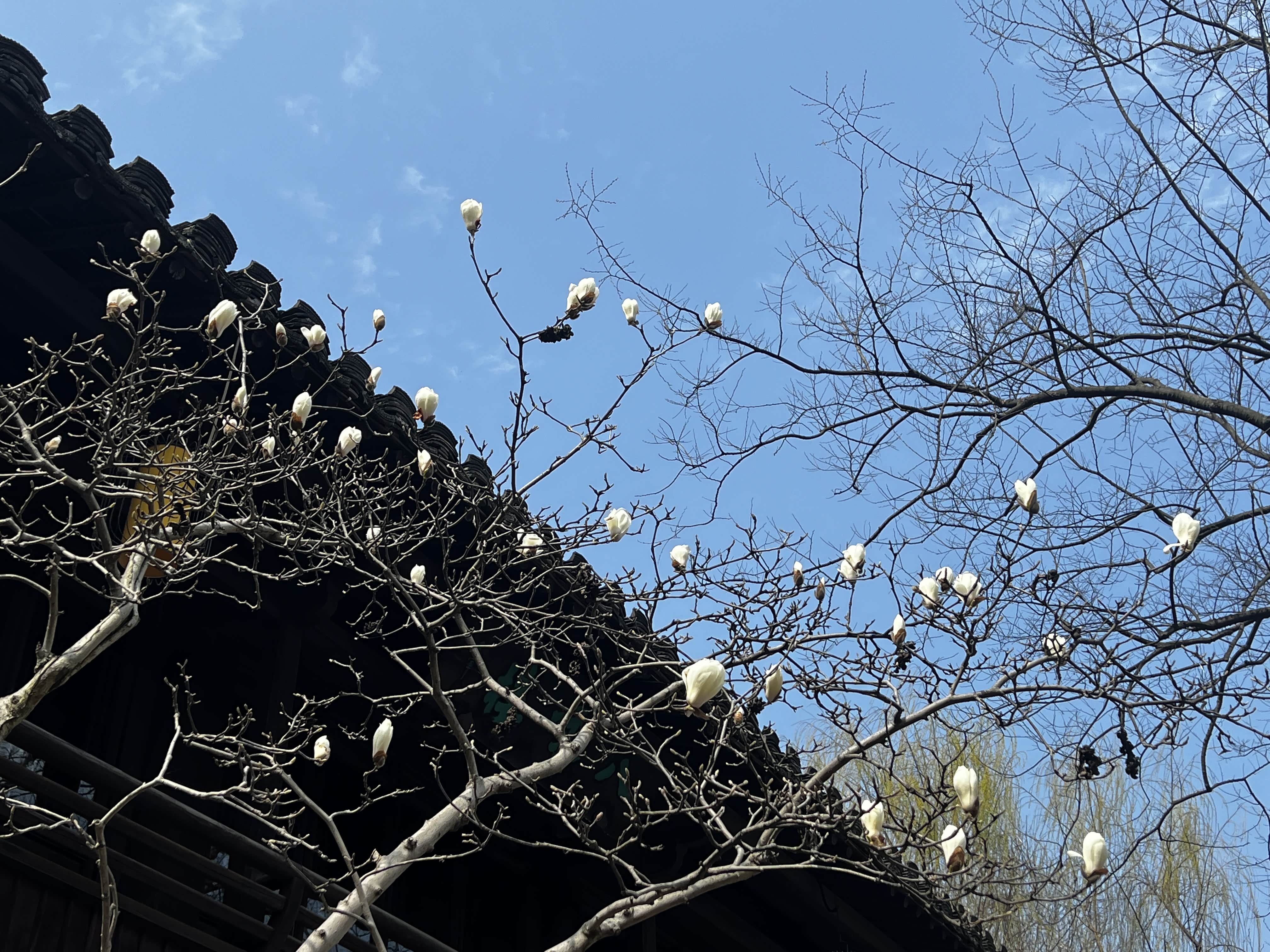 【图】启辰VX6周末游绍兴——百变空间畅享古城风情_启辰VX6论坛_汽车之家论坛