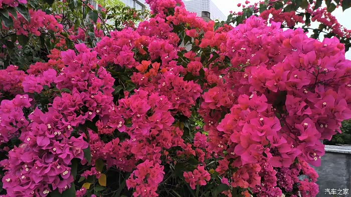 【图】虎8Pro所到之处皆美景_瑞虎8 PRO论坛_汽车之家论坛