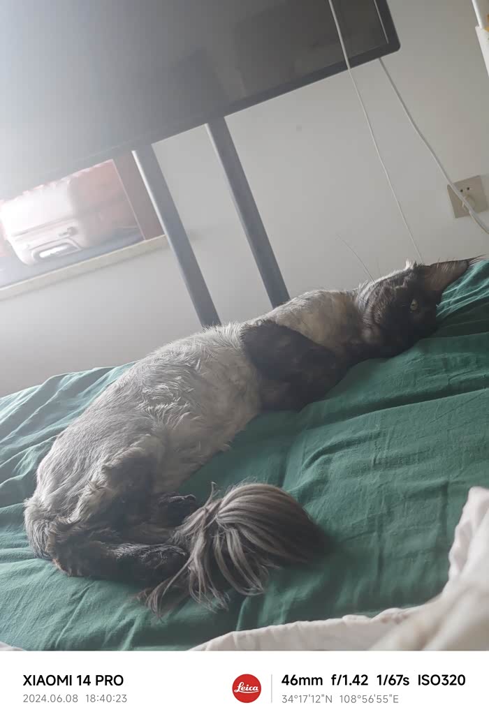 【图】17年首任vv7车主，置换蓝山，补贴8万么？_魏牌 蓝山论坛_汽车之家论坛