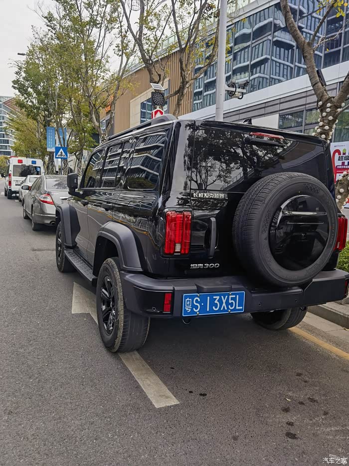 【图】Tk300在城市中穿越花海_坦克300论坛_汽车之家论坛