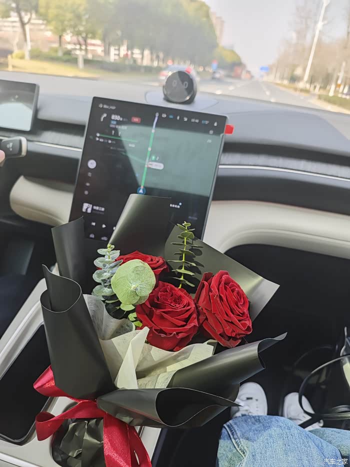 【图】终于开上nomi车啦_蔚来ES6论坛_汽车之家论坛