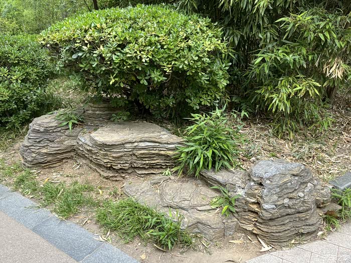 【图】徐州花鸟市场周末游记（25款尊享A3L）_奥迪A3论坛_汽车之家论坛