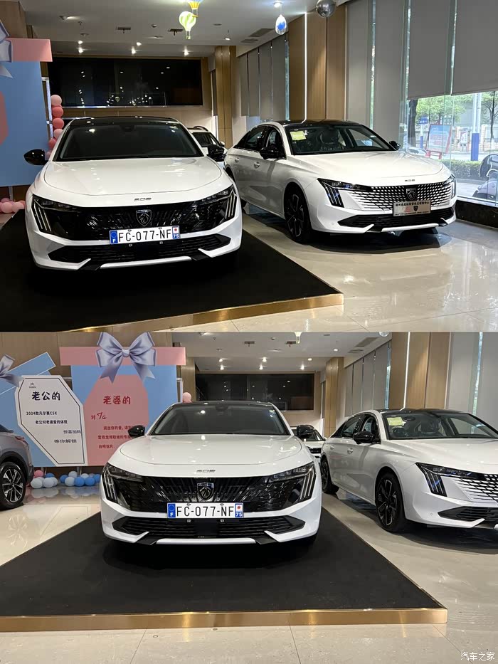 【图】装上了欧版pse中网的508l，你喜欢吗？_标致508论坛_汽车之家论坛