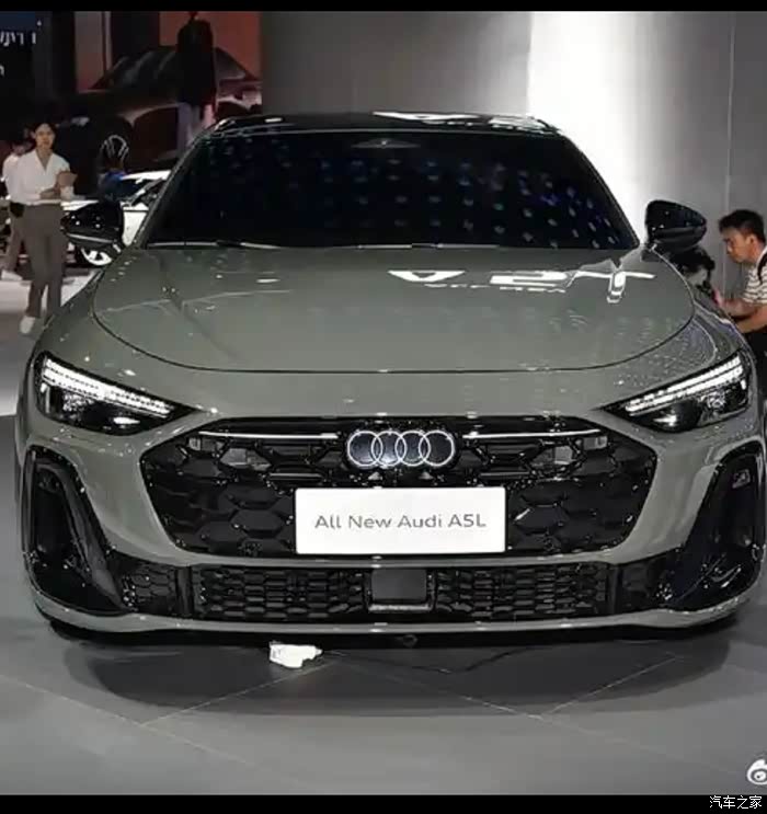 【图】拆23款C8 A6L中网四环标，失败了…_奥迪A6L/A6(进口)论坛_汽车之家论坛