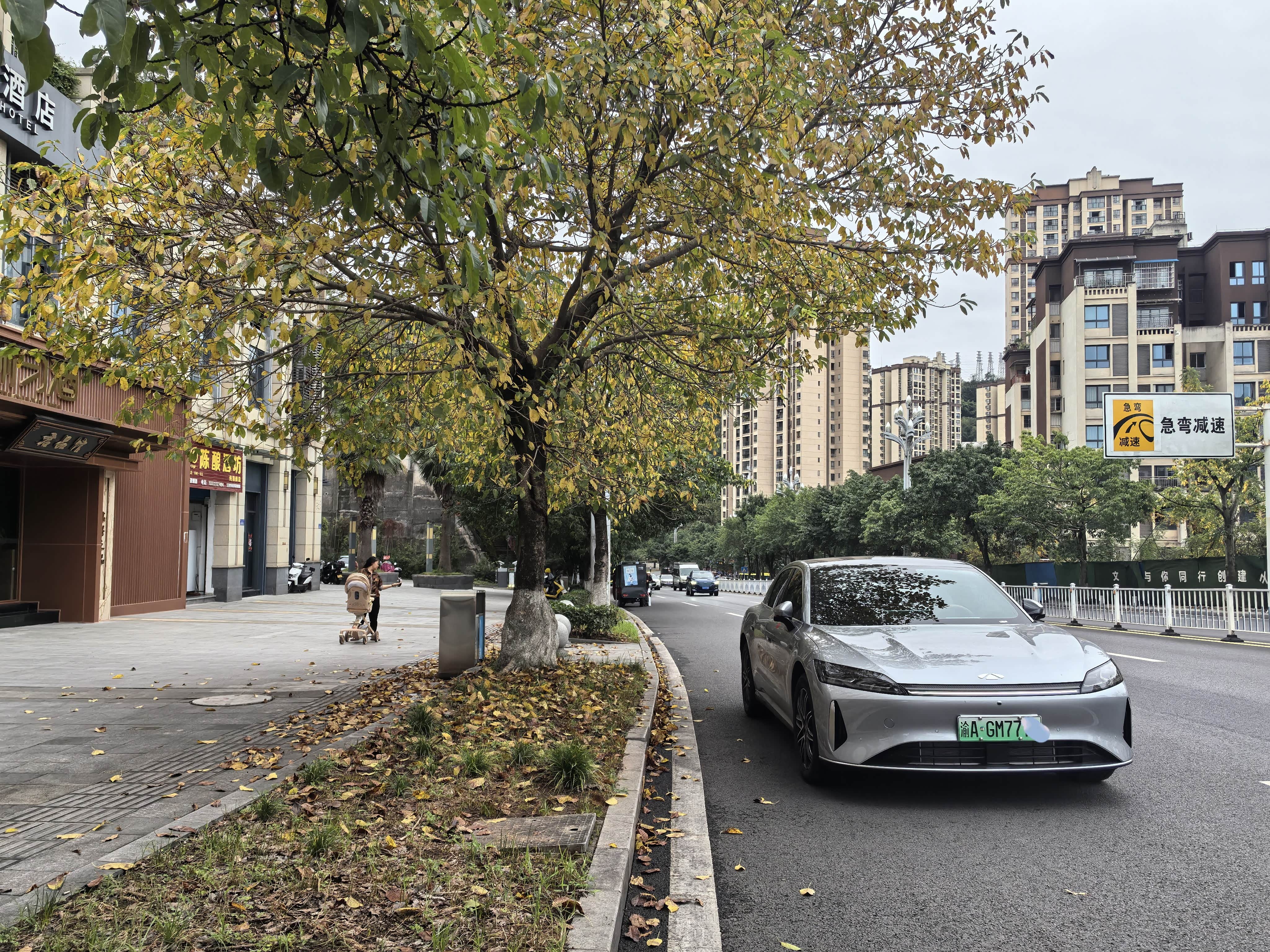 【图】秋天再美，也没有风云A9L美_风云A9L论坛_汽车之家论坛