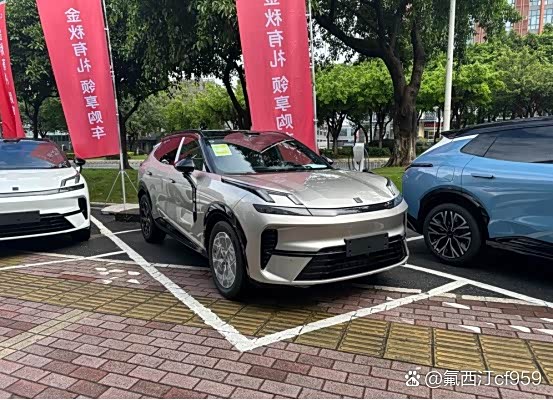 【图】全新领克08EM-P驾驶起来很自信_领克08 EM-P论坛_汽车之家论坛