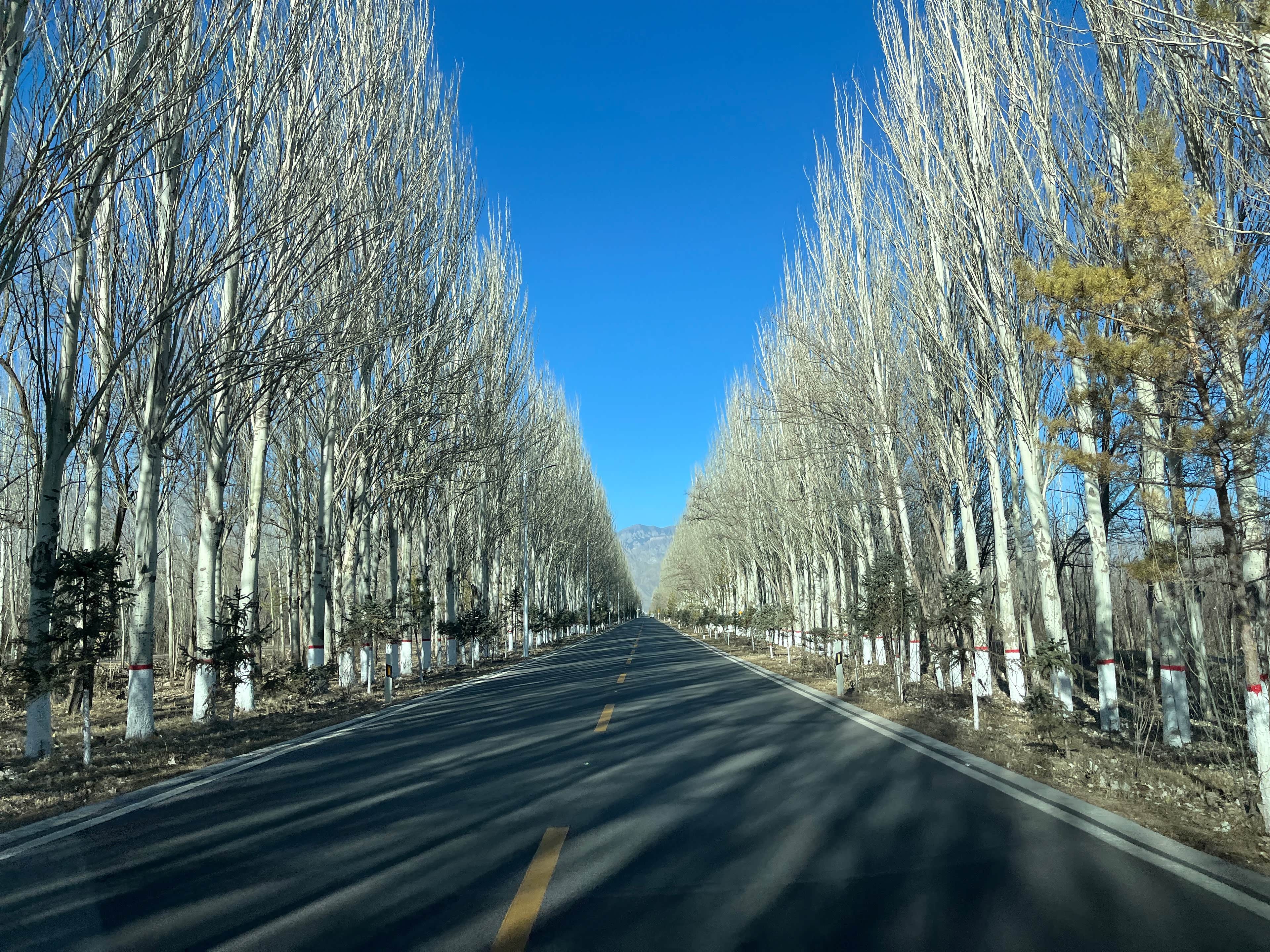 【图】2023年12月提车长续航Y23款～上海自驾新疆赛里木湖_Model Y论坛_汽车之家论坛