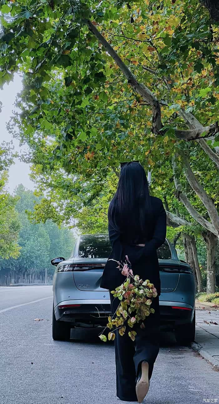 【图】风云A9L 玄武灰 气场十足！ 秋日合影！_风云A9L论坛_汽车之家论坛