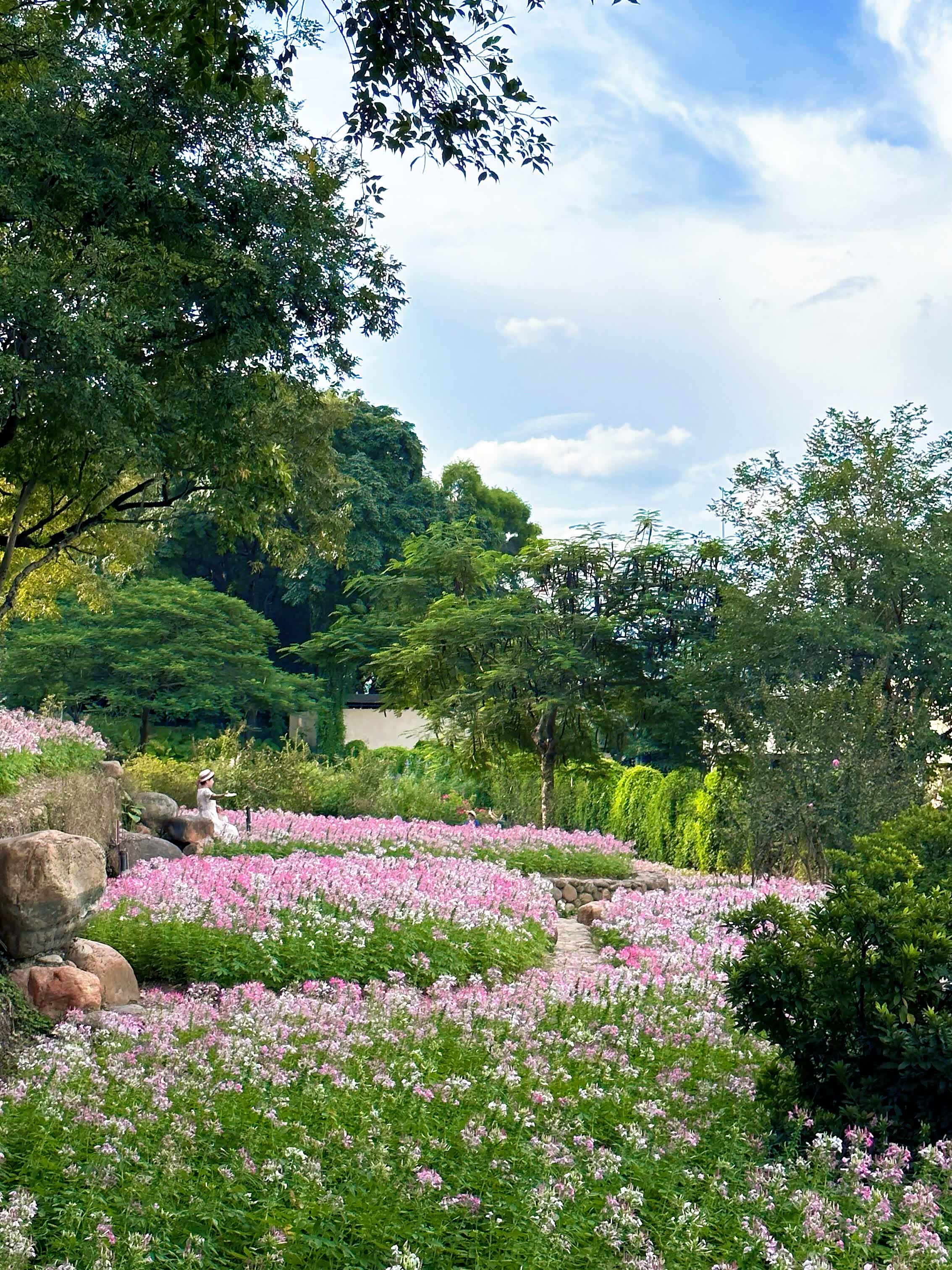 【图】开着爱车风神AX7逛一逛人民公园_东风风神AX7论坛_汽车之家论坛