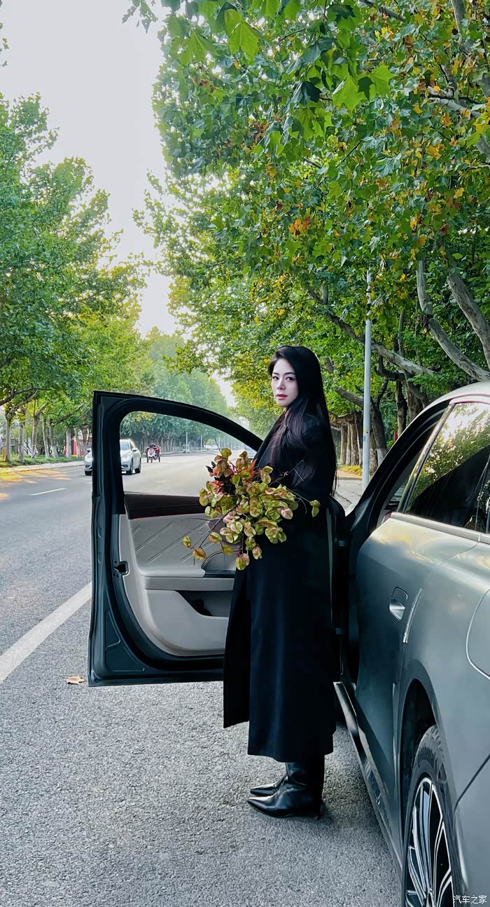 【图】风云A9L 玄武灰 气场十足！ 秋日合影！_风云A9L论坛_汽车之家论坛