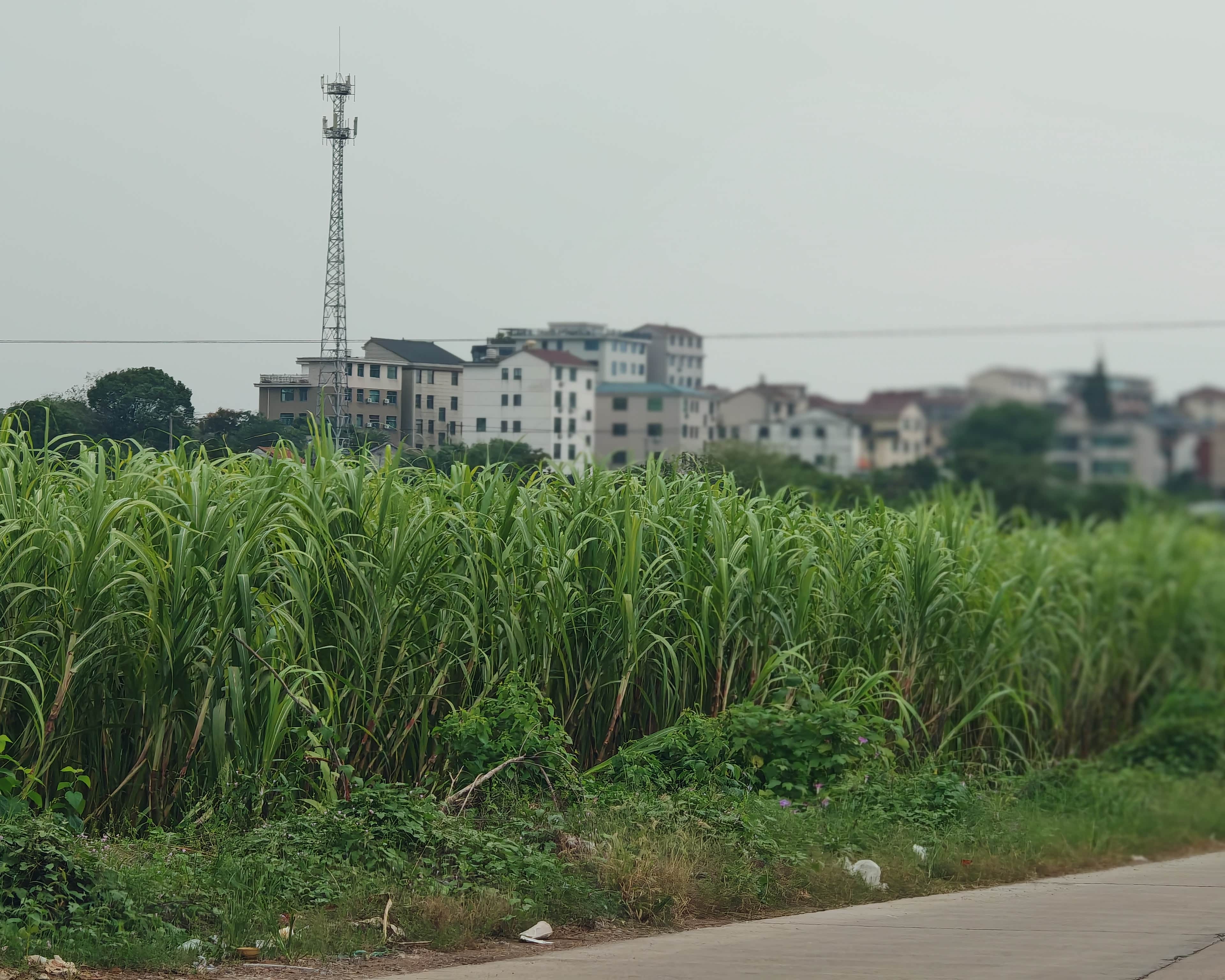 【图】把最美的秋天装进车窗里_风云A9L论坛_汽车之家论坛