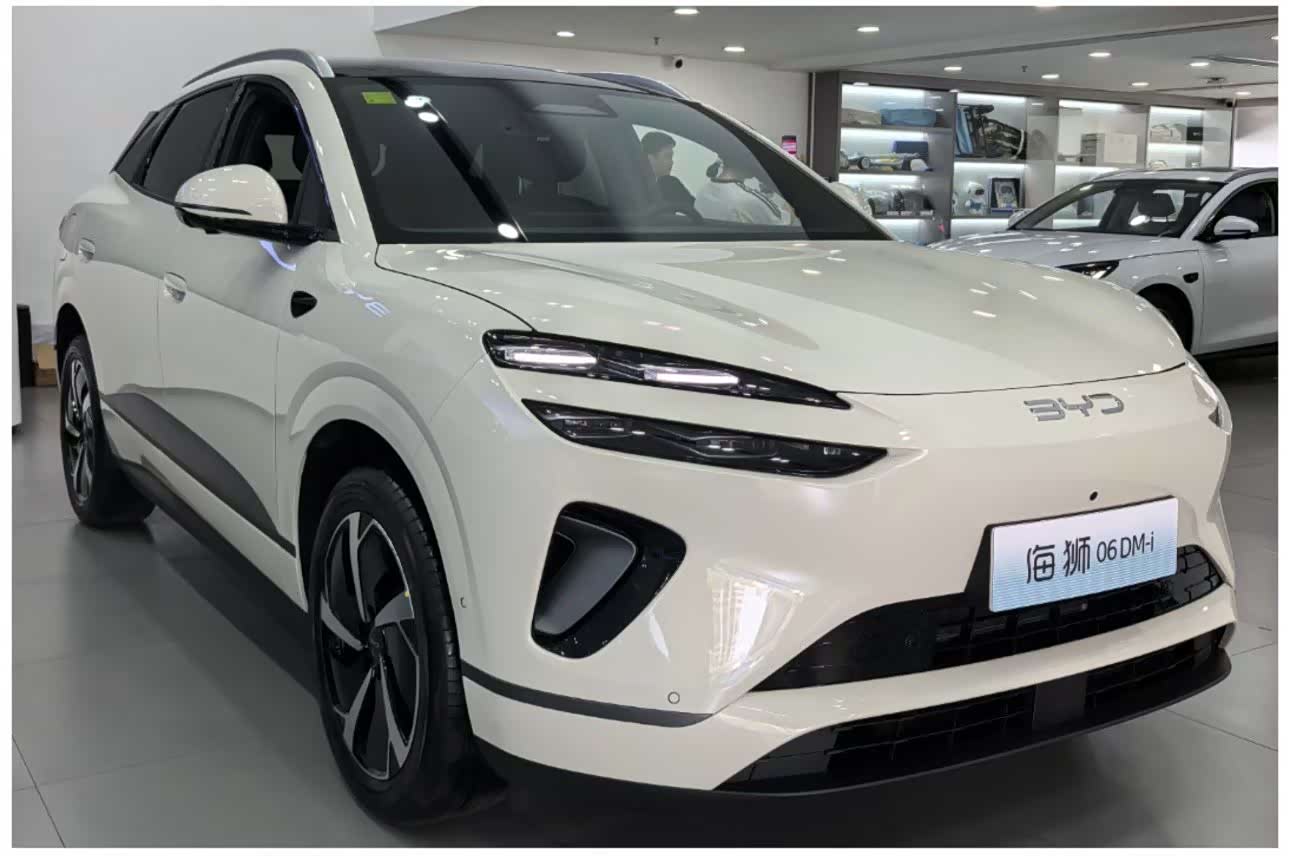 【图】比亚迪海狮06DM-i：10万级混动SUV的全能王者_怒江论坛_汽车之家论坛