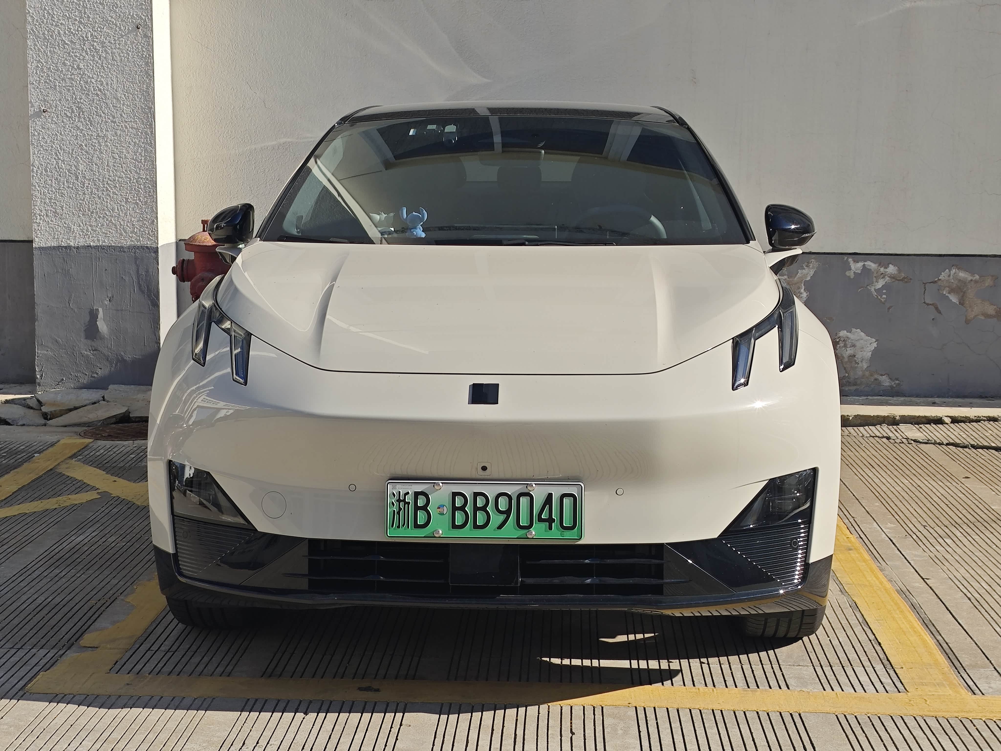 【图】我的小伙伴领克z20_领克Z20论坛_汽车之家论坛