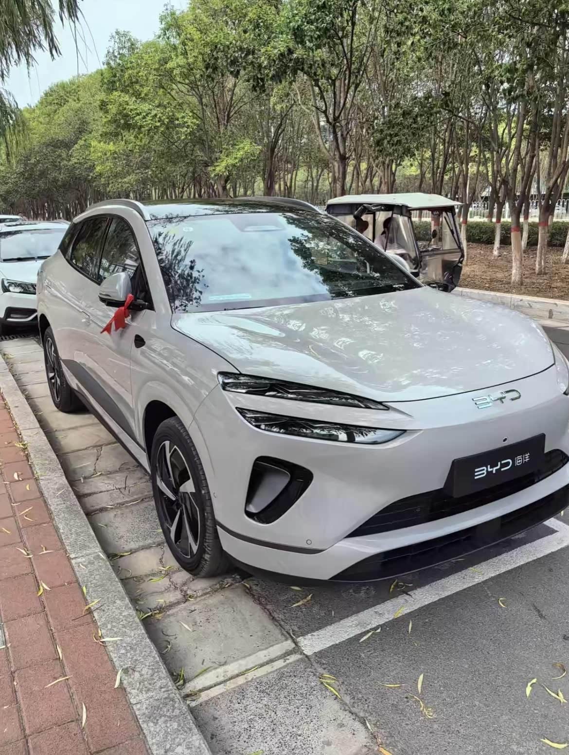 【图】比亚迪海狮06dmi性价比高吗，值得入手吗_海狮06新能源论坛_汽车之家论坛