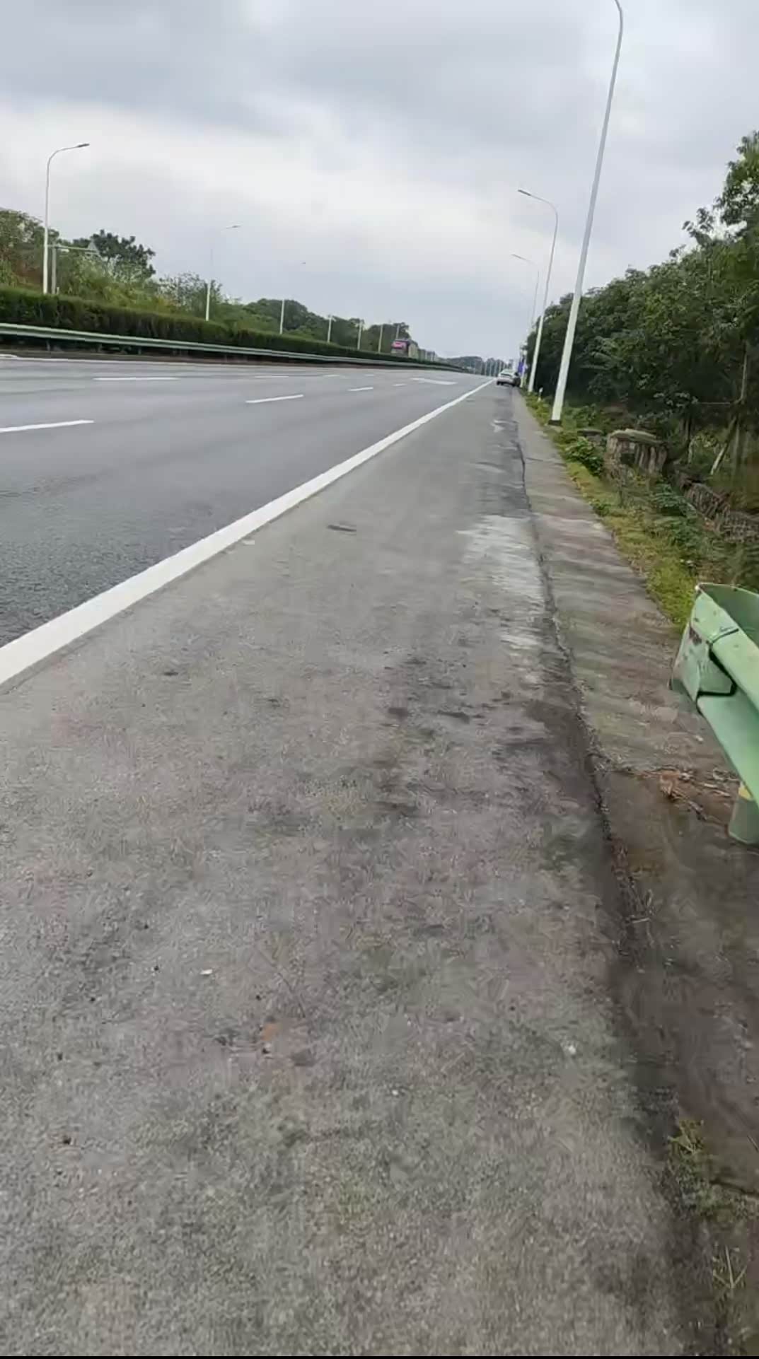 【图】如果撞到狗子走了，算逃yi吗？_智己LS6论坛_汽车之家论坛