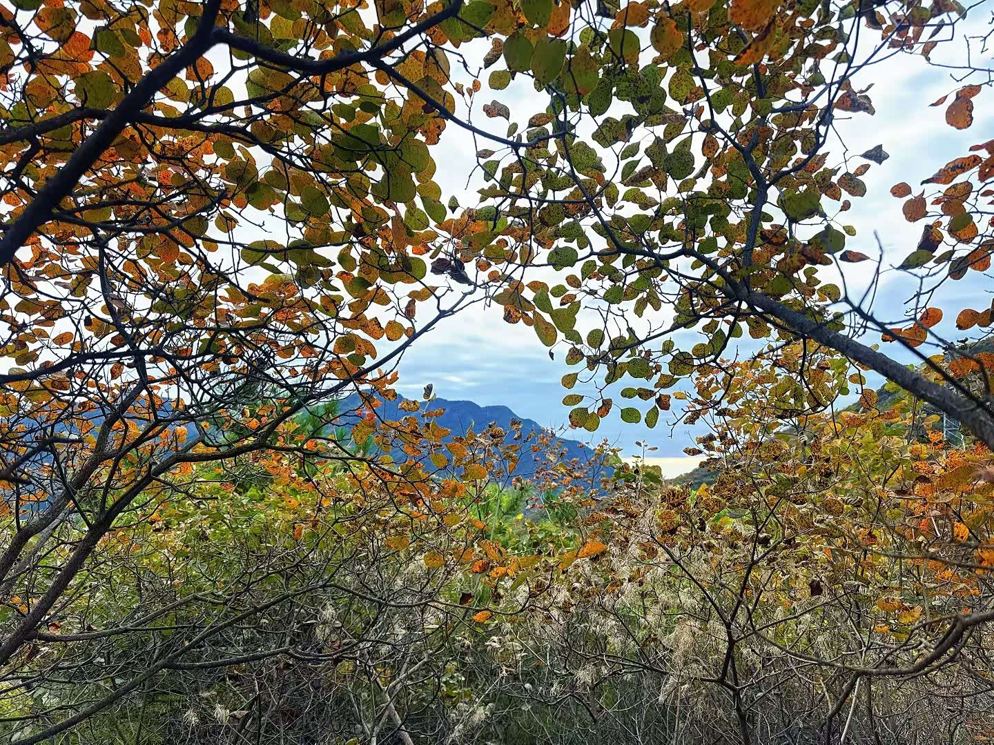 【图】驾沃尔沃S60L，赴一场秋日山林之约_车生活论坛_汽车之家论坛