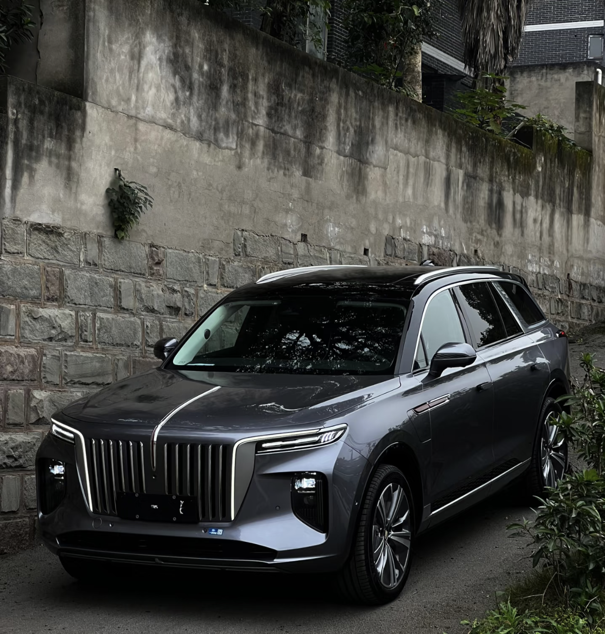 【图】红旗ehs9 这气场，真的太强了_红旗E-HS9论坛_汽车之家论坛