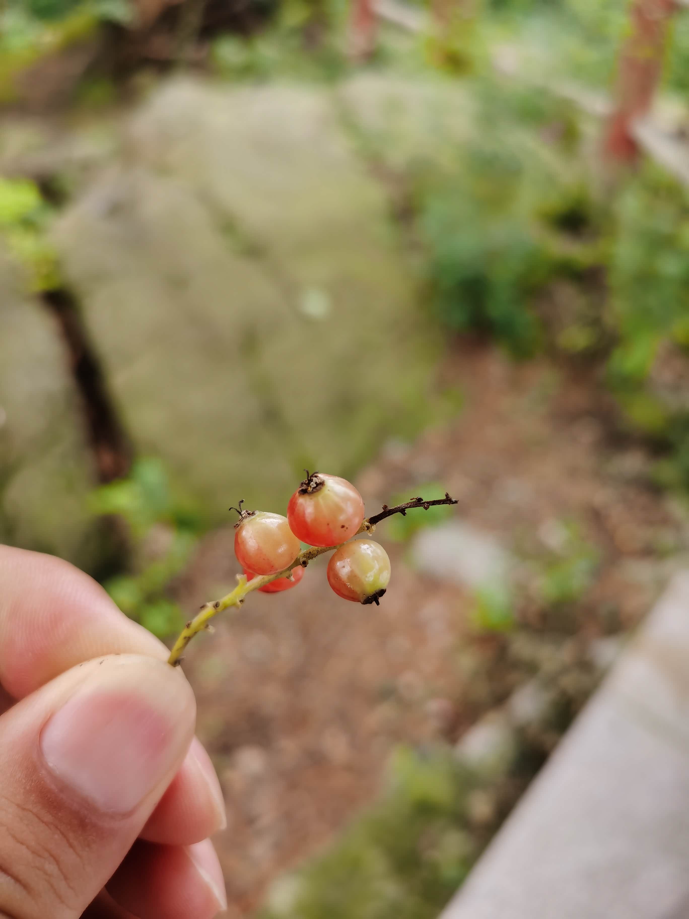 【图】提升红旗HS5驾驶体验的实用技巧_红旗HS5论坛_汽车之家论坛