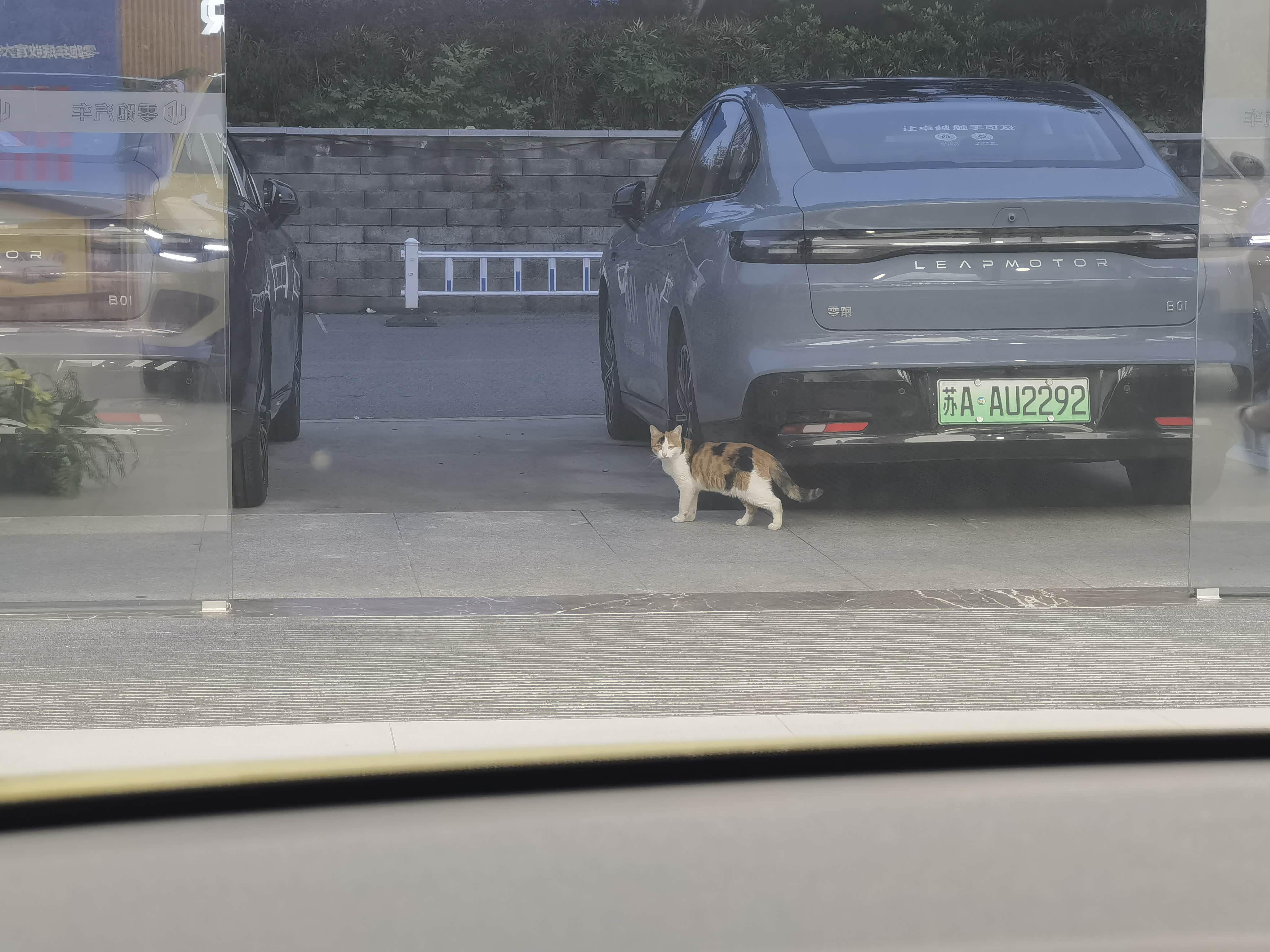 【图】C16老车主对新车的感觉 这次销量据说零跑又一次给出了好成绩_零跑C16论坛_汽车之家论坛