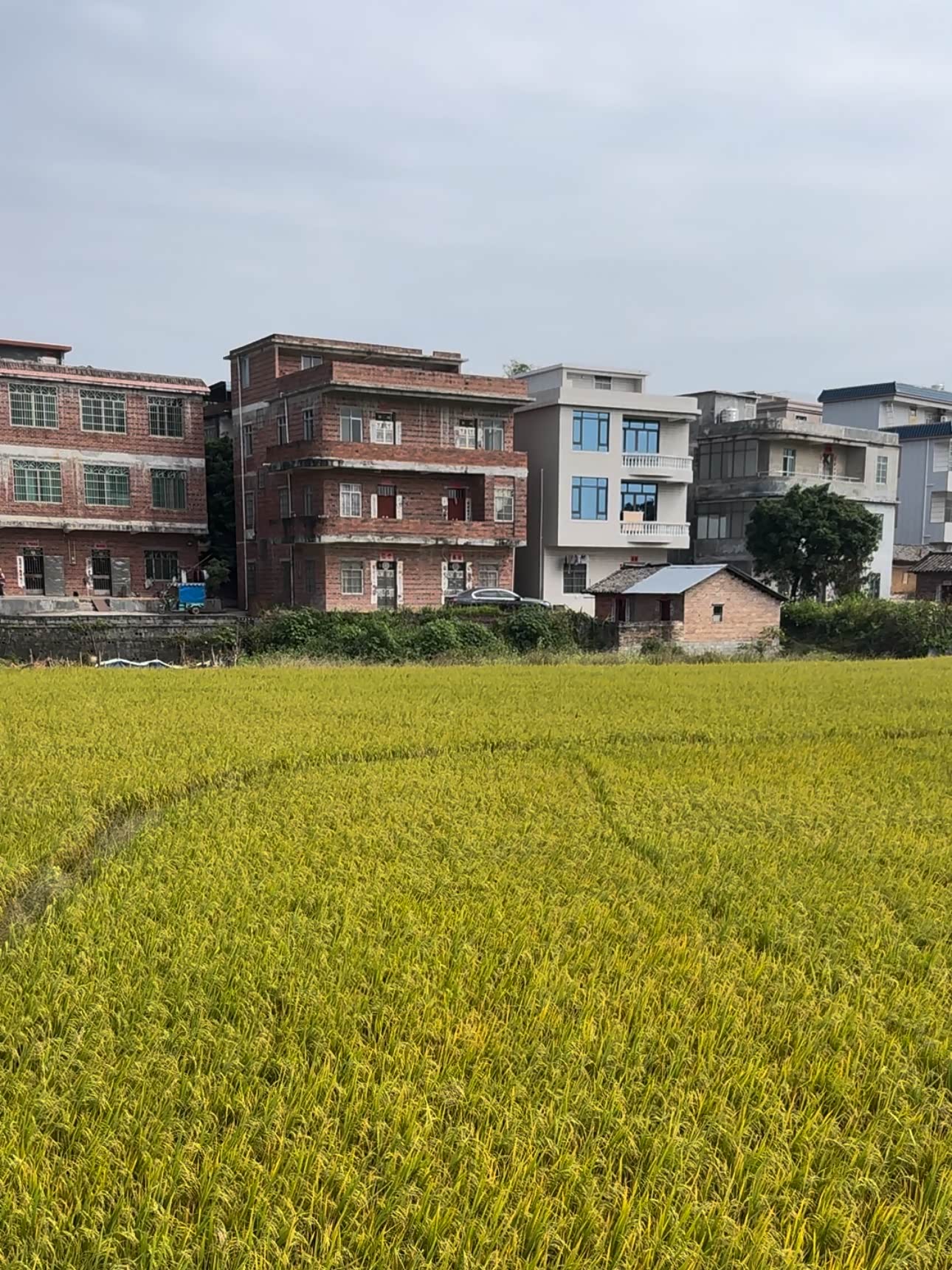 【图】蔚来全新ES8满员满电，能跑多少公里？_蔚来ES8论坛_汽车之家论坛