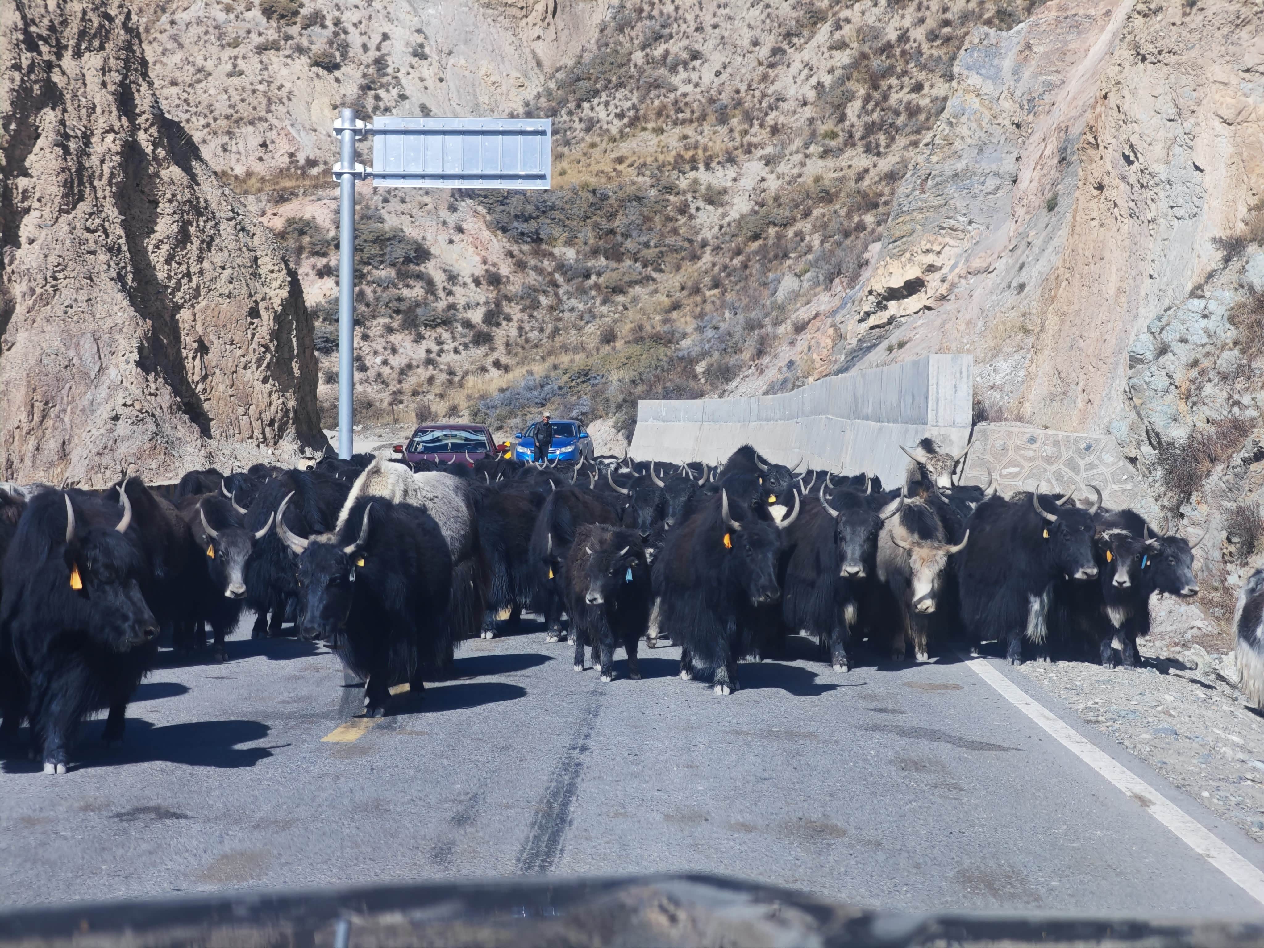 【图】BJ30_北京越野BJ30论坛_汽车之家论坛