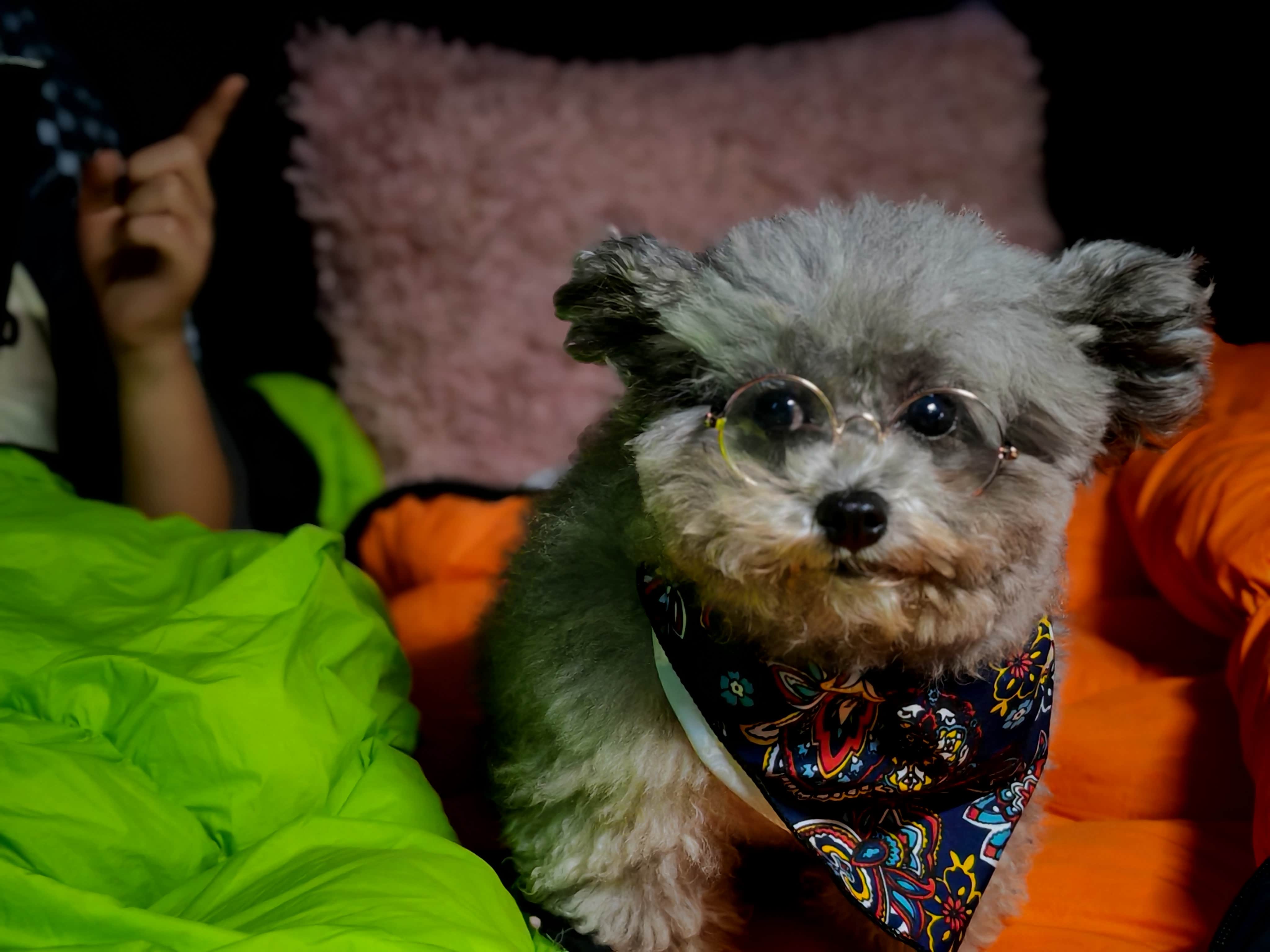 【图】一车搞定露营所有！启辰 VX6 的外放电和稳驾太圈粉_启辰VX6论坛_汽车之家论坛