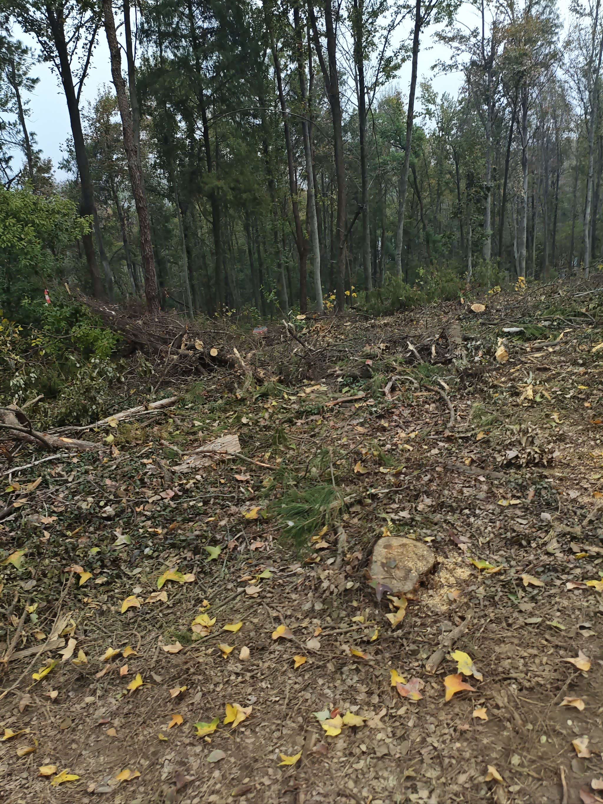 【图】周末开着风神L8去登山，在山脚下开启徒步之旅_东风风神L8论坛_汽车之家论坛