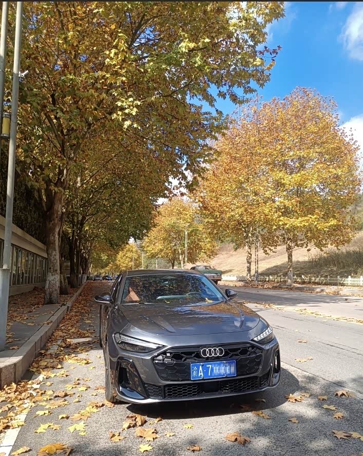 【图】情定天云灰，我的A5L 40运动版提车作业，23.98万值不值_奥迪A5L论坛_汽车之家论坛