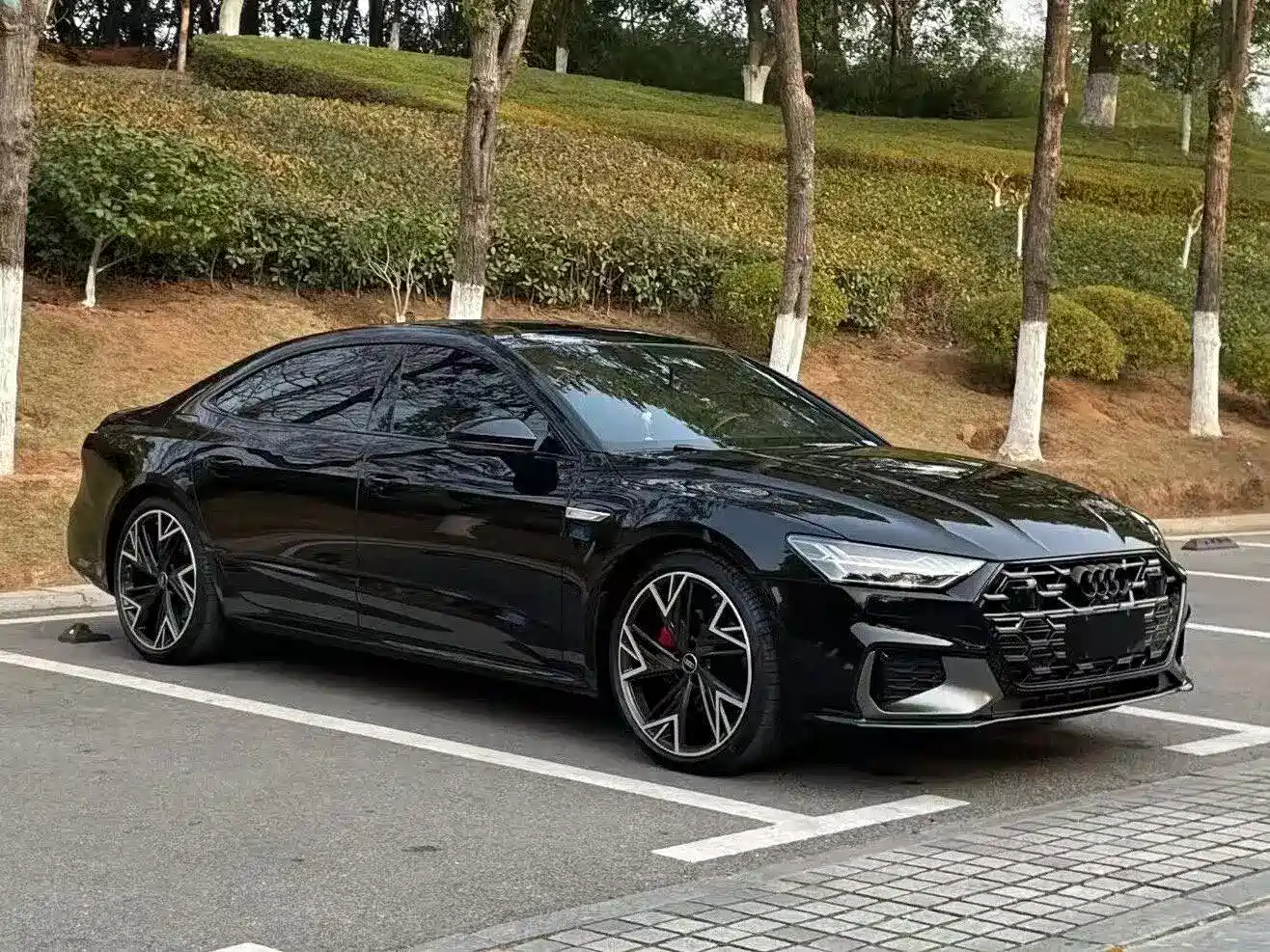 【图】上汽奥迪A7L电子挡把使用指南_奥迪A7L论坛_汽车之家论坛