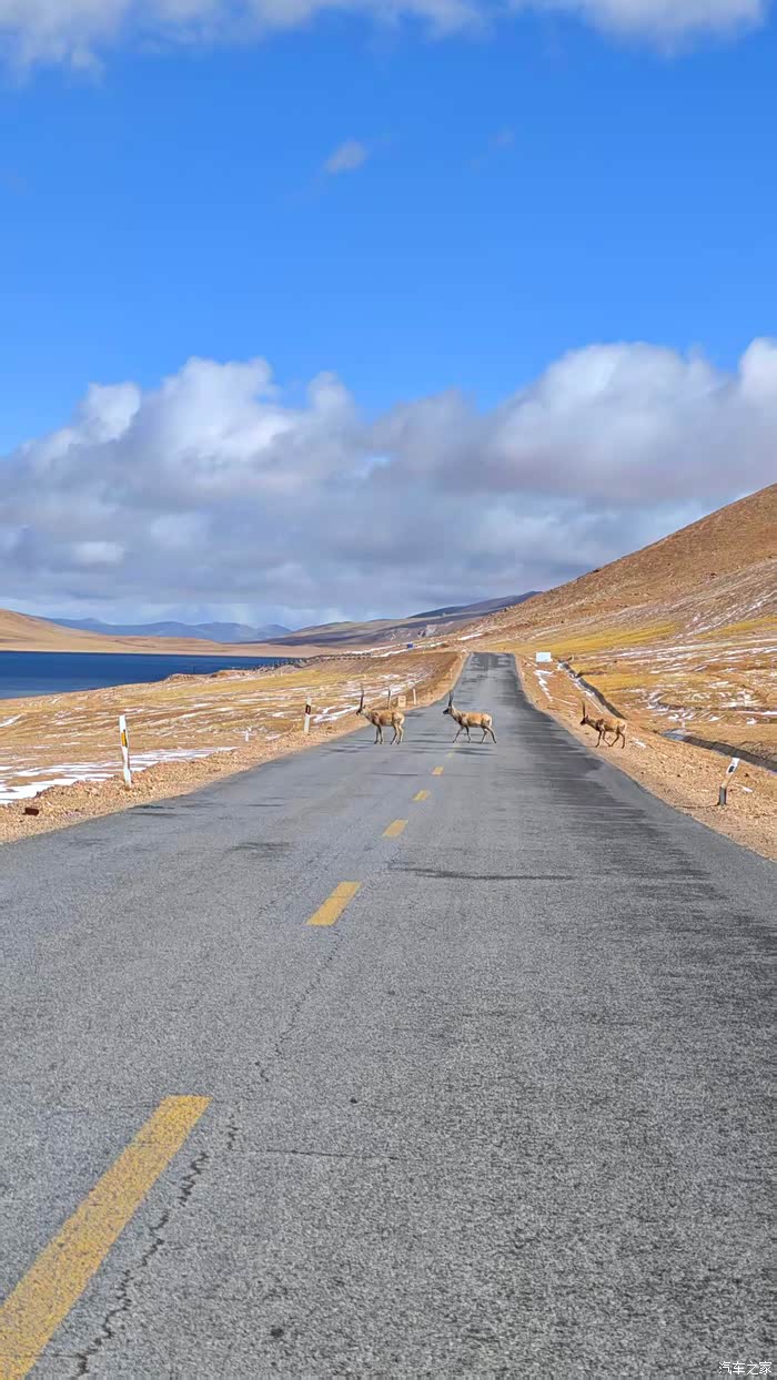 【图】49天单车自驾国道G219流水账9（札达-新藏界）_自驾游论坛_汽车之家论坛