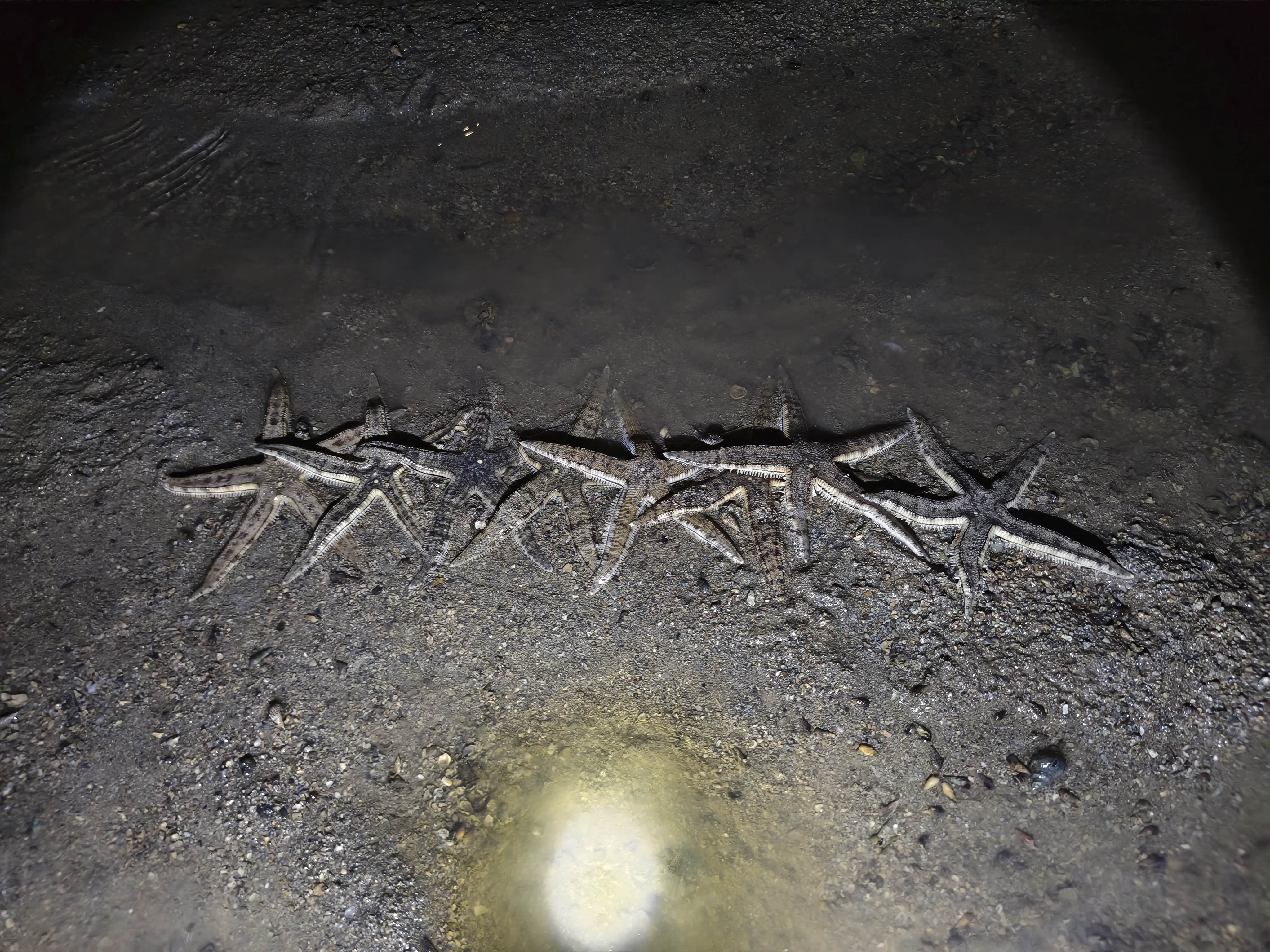 【图】海南没有秋天，永远夏天_元PLUS论坛_汽车之家论坛