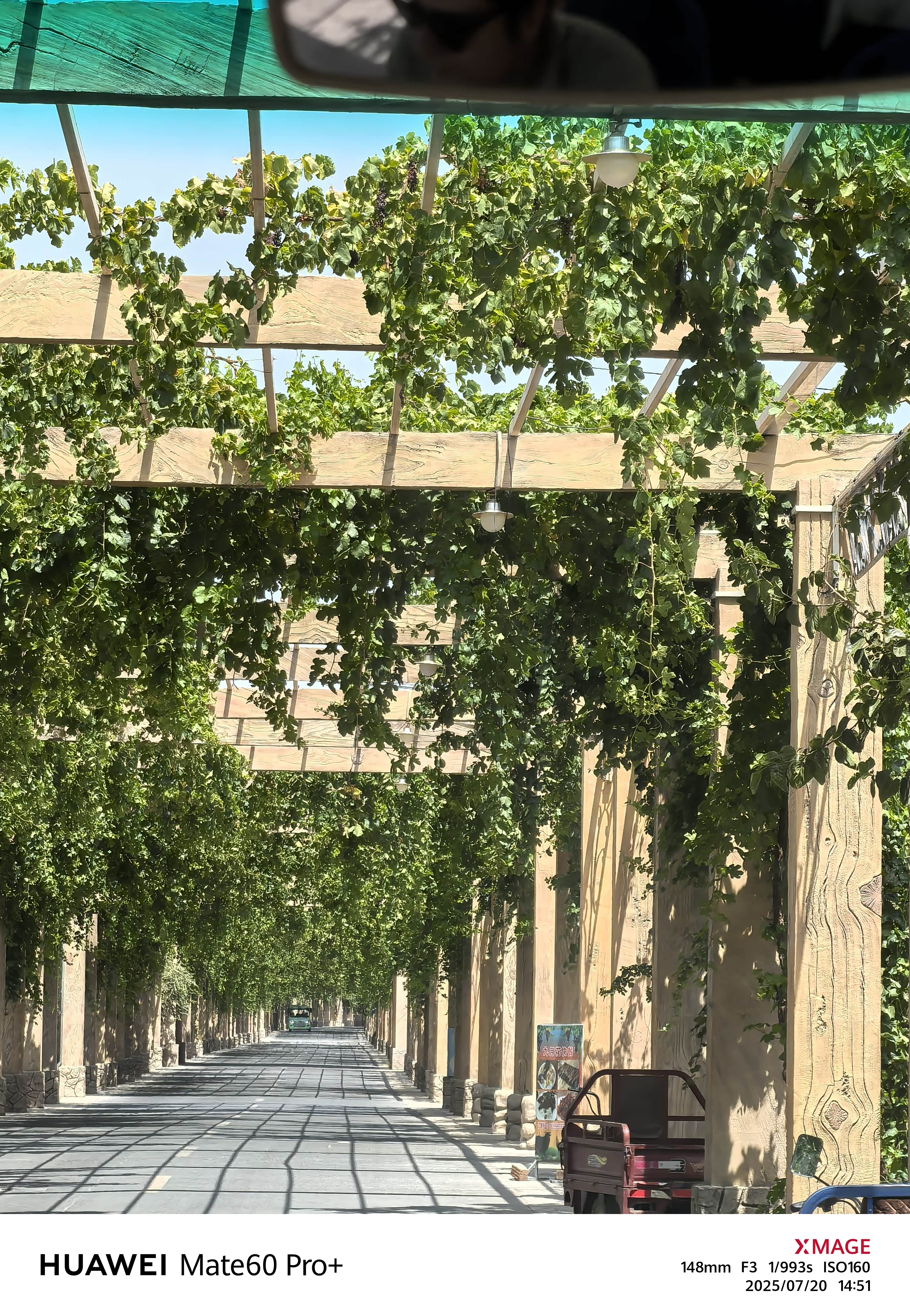 26款C16自驾无锡直达赛里木湖_零跑C16论坛_手机汽车之家